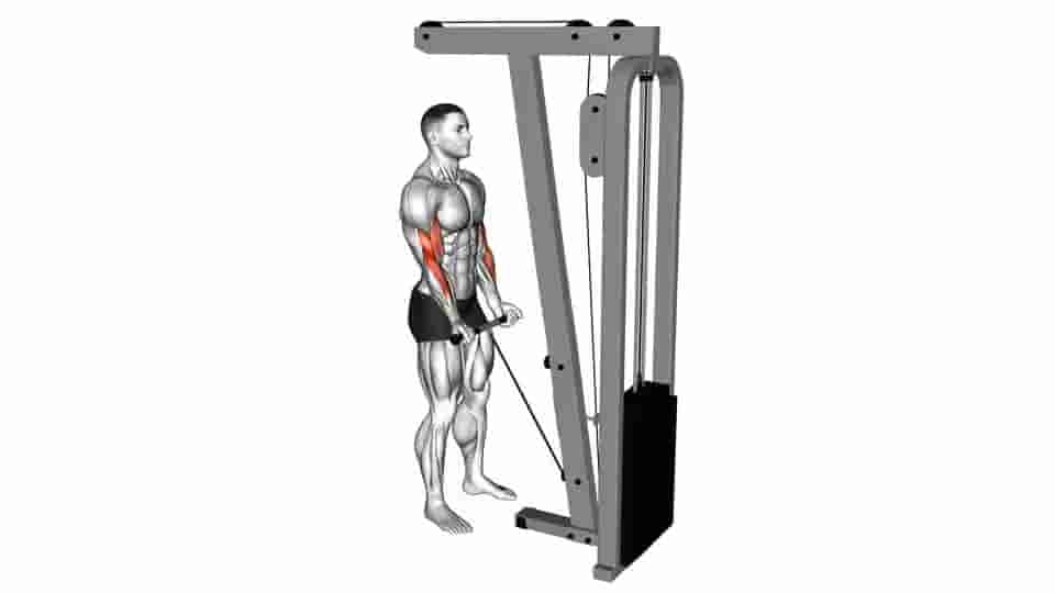 Close Grip Curl - Video Guide | Lyfta