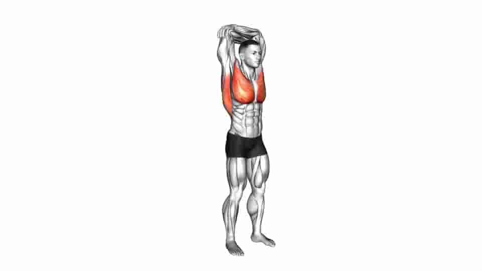 Standing reach up back rotation stretch - Video Guide | Lyfta