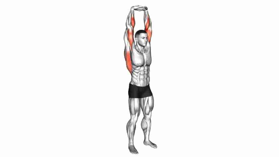 Extension Of Arms In Vertical Stretch - Video Guide | Lyfta