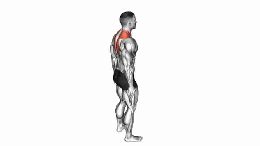 Forward Flexion Neck Stretch - Video Guide | Lyfta