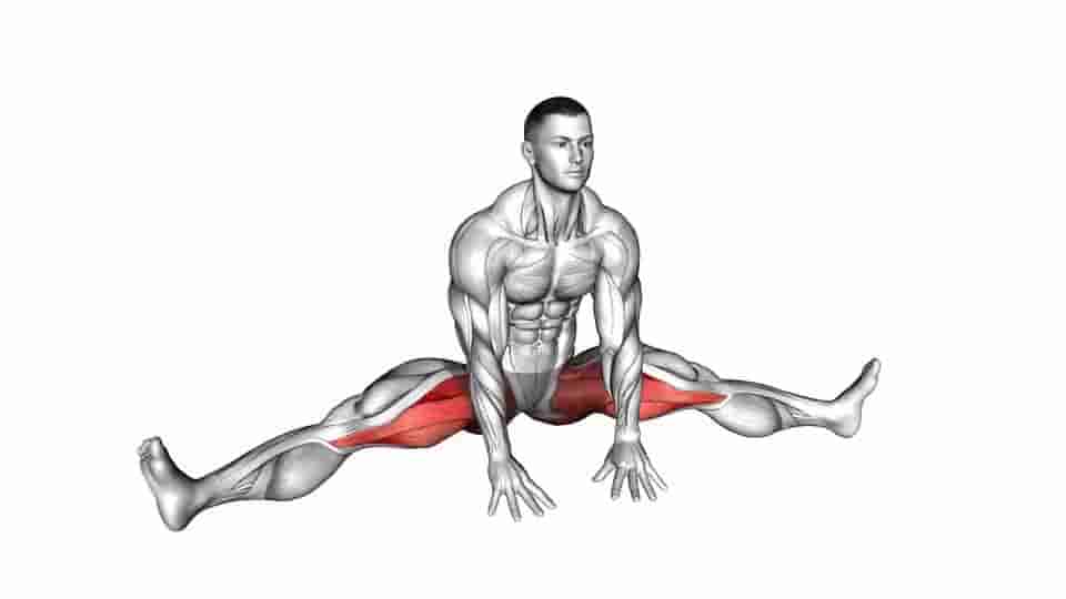 Sitting Wide Leg Adductor Stretch - Video Guide | Lyfta