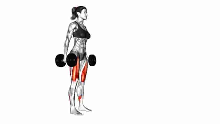 Estocada con mancuernas - Guía en Video | Lyfta