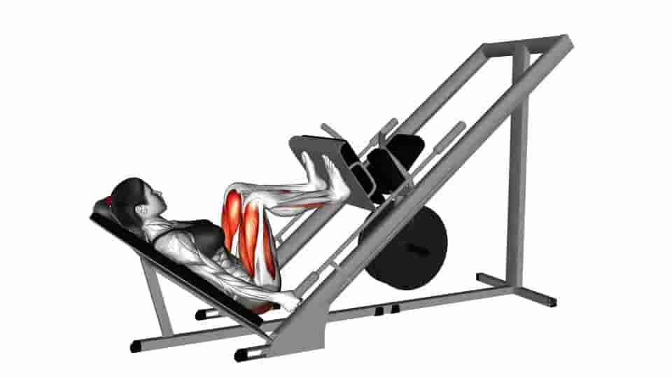 Sled 45 degrees Leg Press - Video Guide | Lyfta