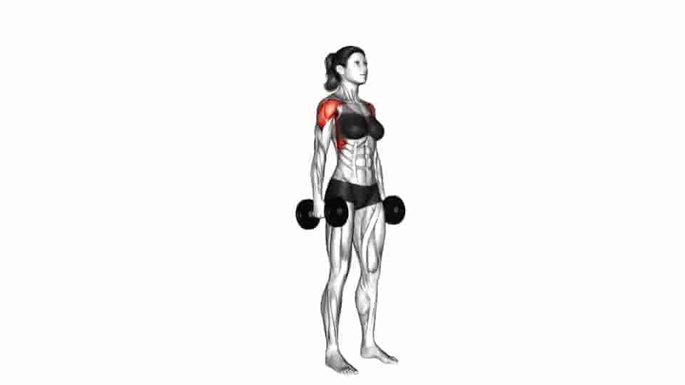 Dumbbell Standing Lateral Raise - Video Guide | Lyfta