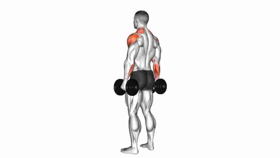 Dumbbell Rear Delt Raise - Video Guide | Lyfta