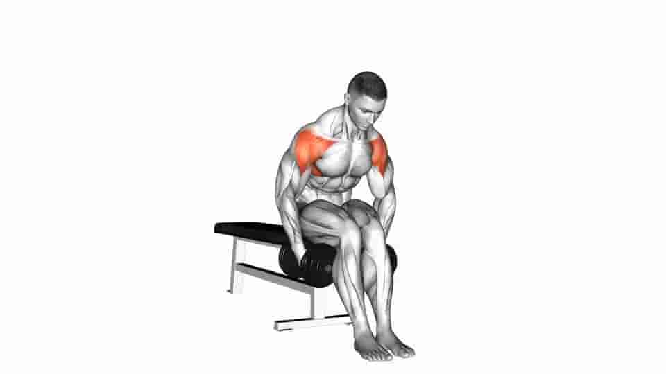 Dumbbell Seated Bent Arm Lateral raise - Video Guide | Lyfta