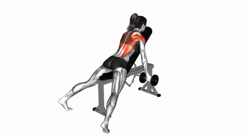 Dumbbell Reverse Grip Incline Row - Video Guide | Lyfta