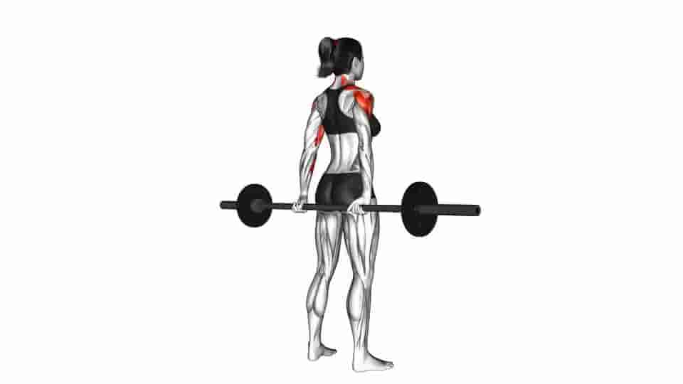 Barbell Rear Delt Raise - Video Guide | Lyfta