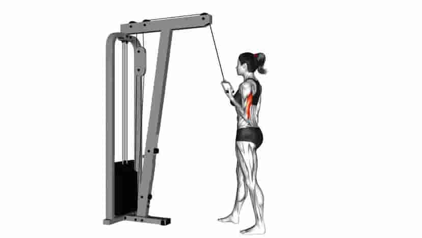 Cable Standing One Arm Triceps Extension - Video Guide | Lyfta
