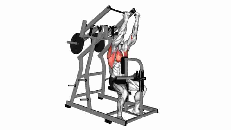 Lever Reverse grip Lateral Pulldown - Video Guide | Lyfta