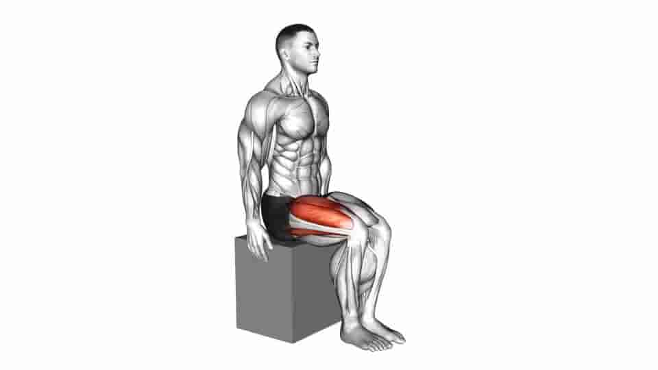 Knee - Extension - Articulations - Video Guide | Lyfta
