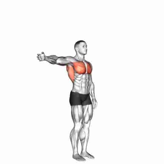 Shoulder - Adduction - Articulations - Video Guide | Lyfta