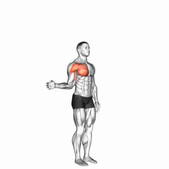 Shoulder - Medial Rotation - Video Guide | Lyfta