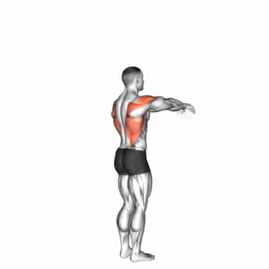 Shoulder - Transverse Extension - Articulations - Video Guide | Lyfta