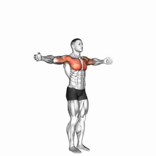 Shoulder - Transverse Flexion - Articulations - Video Guide | Lyfta