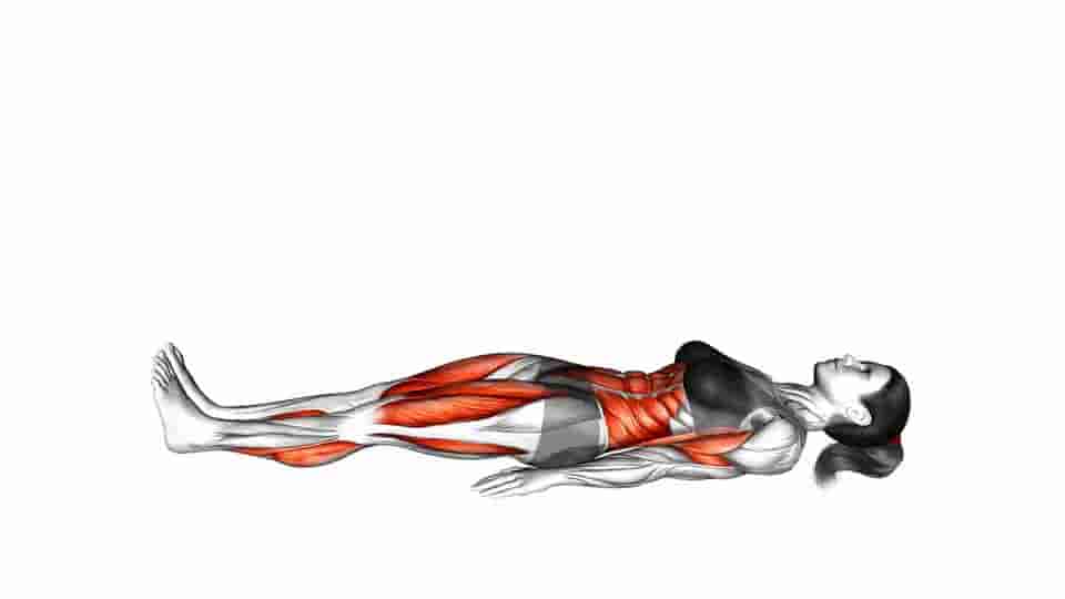 Single Leg Stretch - Video Guide | Lyfta