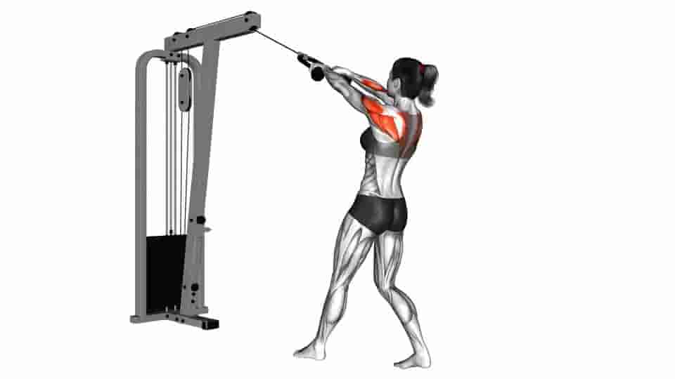 Cable Standing Rear Delt Row - Video Guide | Lyfta