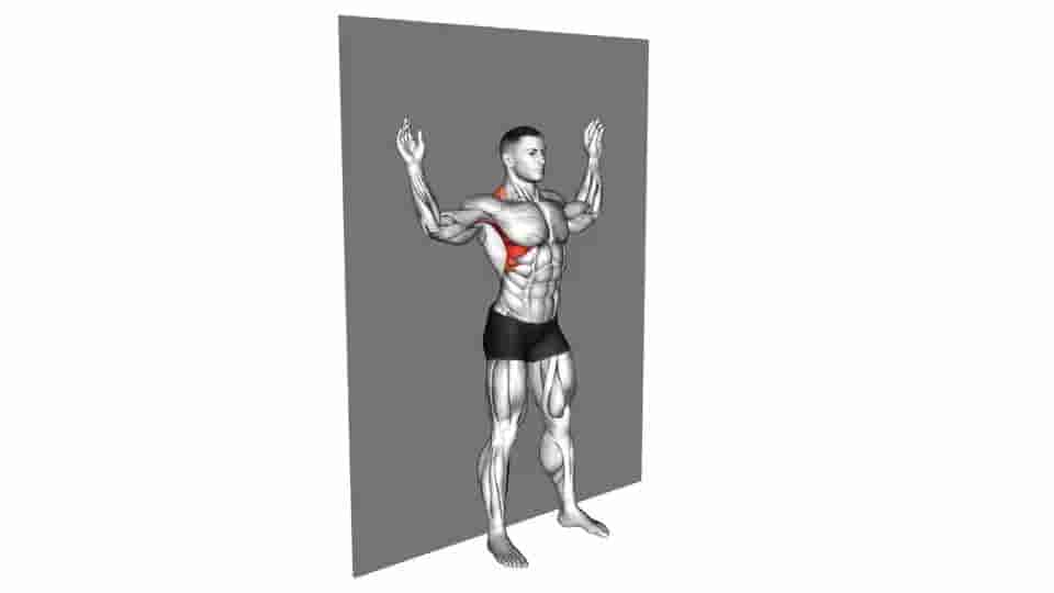 Scapular Slide Back to Wall - Video Guide | Lyfta