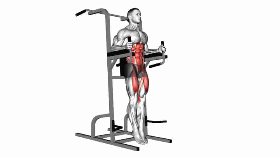 Captains Chair Straight Leg Raise - Video Guide | Lyfta