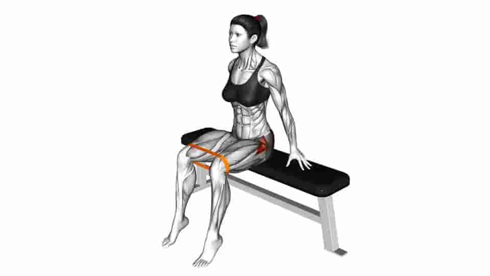Resistance Band Seated Hip Abduction - Video Guide | Lyfta