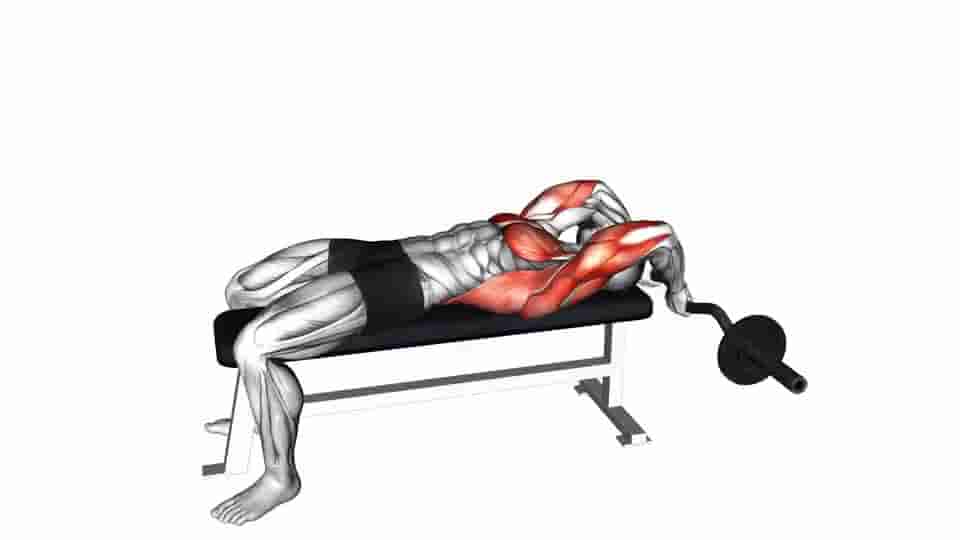 EZ Bar Lying Bent Arms Pullover - Video Guide | Lyfta