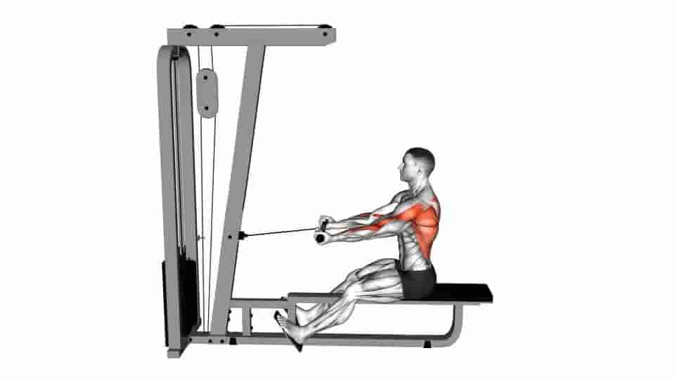 Cable Seated Supine-grip Row - Video Guide | Lyfta