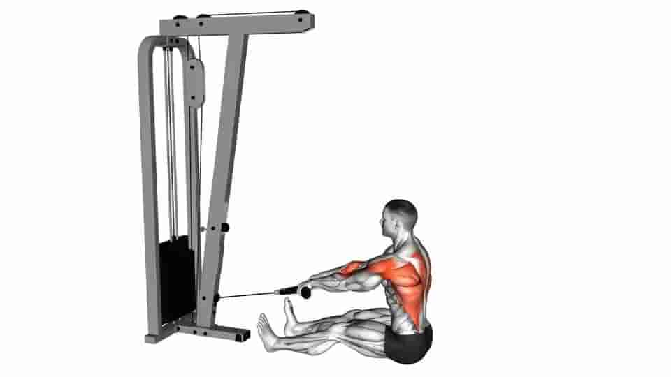 Cable Seated on Floor Row with Rope - Video Guide | Lyfta