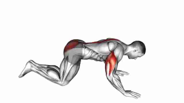 Kneeling Cobra Push-up - Video Guide | Lyfta