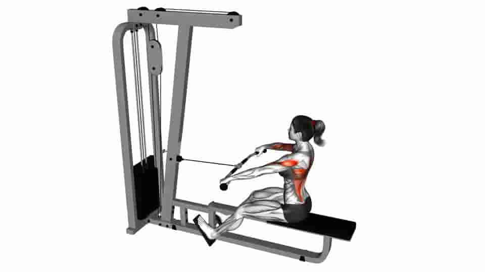 Cable Seated Wide grip Row - Video Guide | Lyfta