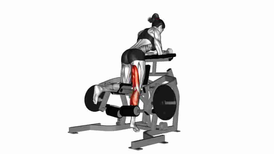 Lever Kneeling Leg Curl - Video Guide | Lyfta