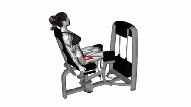 Lever Seated Hip Abduction - Video Guide | Lyfta