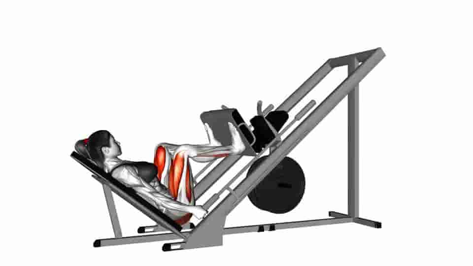 Sled 45 degrees Wide Stance Leg Press - Video Guide | Lyfta