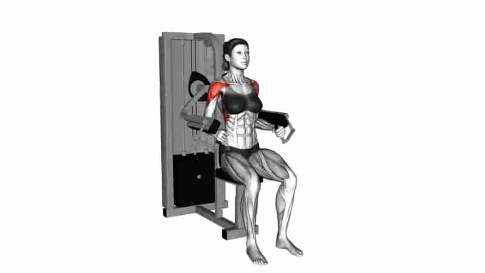 Lever Lateral Raise - Video Guide | Lyfta