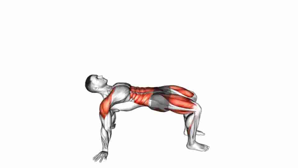 Reverse Plank with Leg Lift - Video Guide | Lyfta