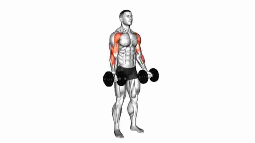 Curvatura de bíceps com arrasto com halteres - Guia em Vídeo | Lyfta