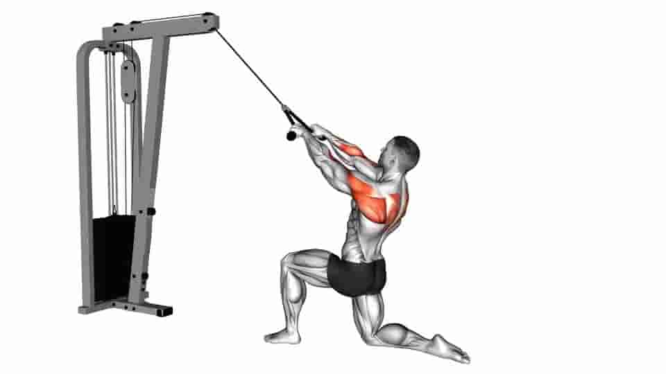 Cable Kneeling Rear Delt Row - Video Guide | Lyfta