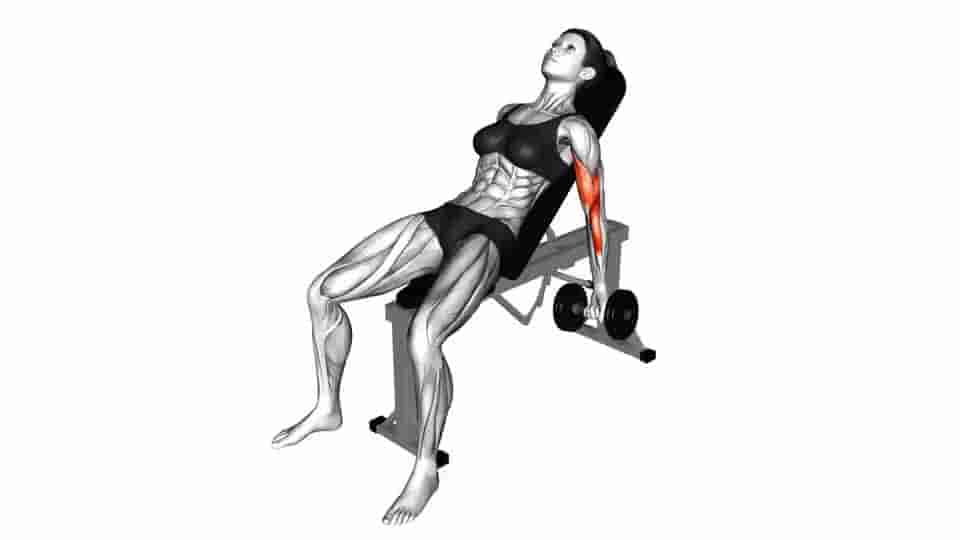 Dumbbell Incline Biceps Curl - Video Guide | Lyfta