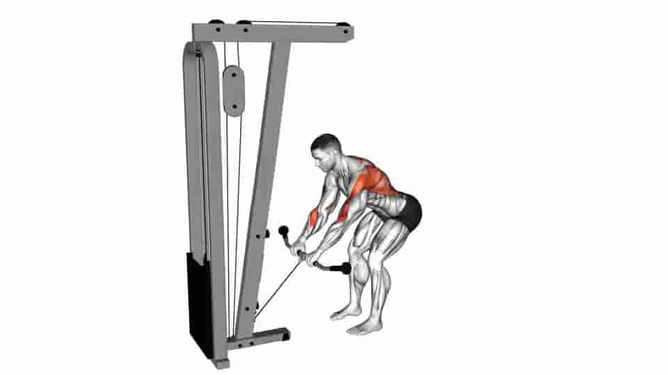 Cable Bent Over Row - Video Guide | Lyfta