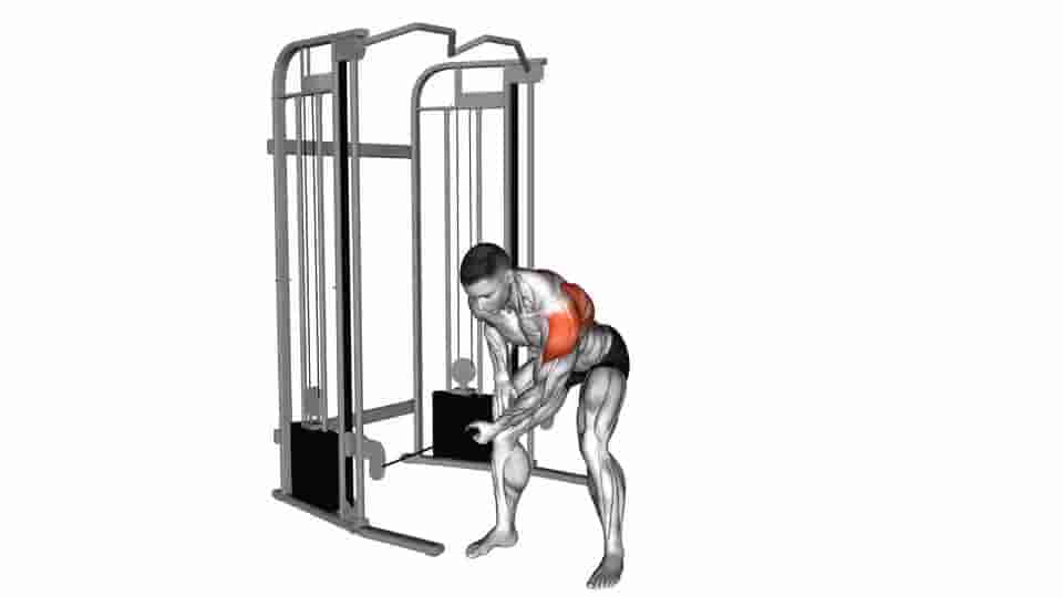 Cable Bent-Over One Arm Lateral Raise - Video Guide | Lyfta