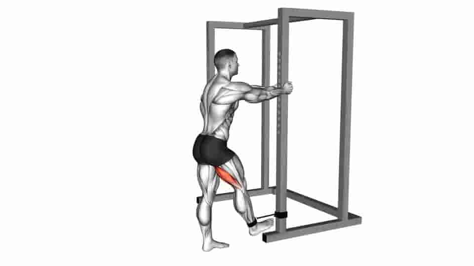 Band Standing Leg Curl - Video Guide | Lyfta