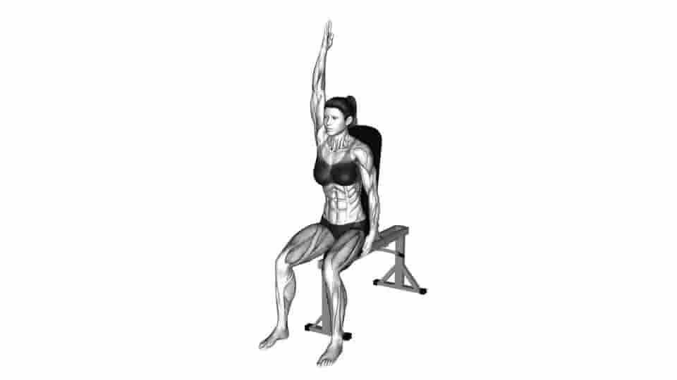 Seated Lower Back Stretch - Video Guide | Lyfta