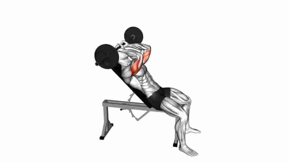 Barbell Incline Triceps Extension Skull Crusher - Video Guide | Lyfta