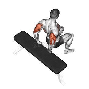 Bench Dip - Video Guide | Lyfta