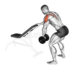Dumbbell One Arm Reverse Fly - Video Guide | Lyfta