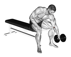 Dumbbell Seated One Arm Rotate - Video Guide | Lyfta