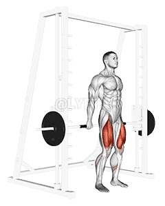 Smith Hack Squat - Video Guide | Lyfta