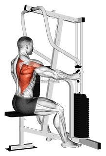 Lever One Arm Seated Row - Video Guide | Lyfta