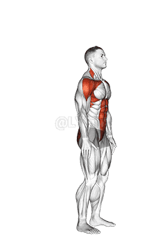 Posterior Step to Overhead Reach - Video Guide | Lyfta