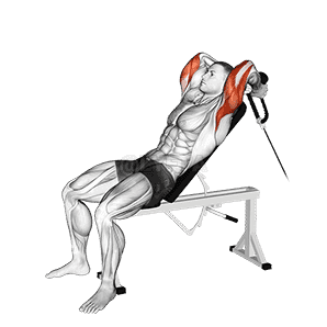 Extensión de tríceps inclinada con cuerda - Guía en Video | Lyfta