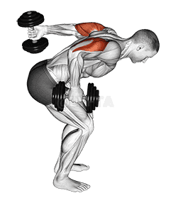 Dumbbell Standing Alternating Tricep Kickback - Video Guide | Lyfta